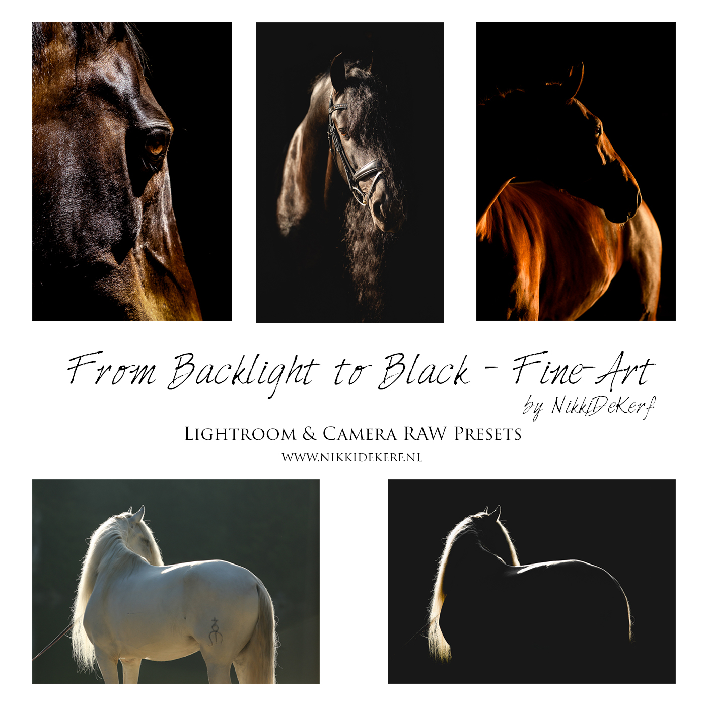 10 Fine-Art Presets - Lightroom & Photoshop (Camera RAW ...